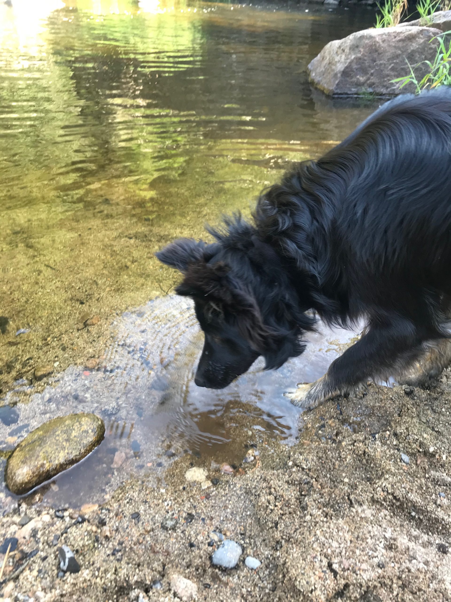 Manny's Blog - Sharing our French adventure as we live and work and ...