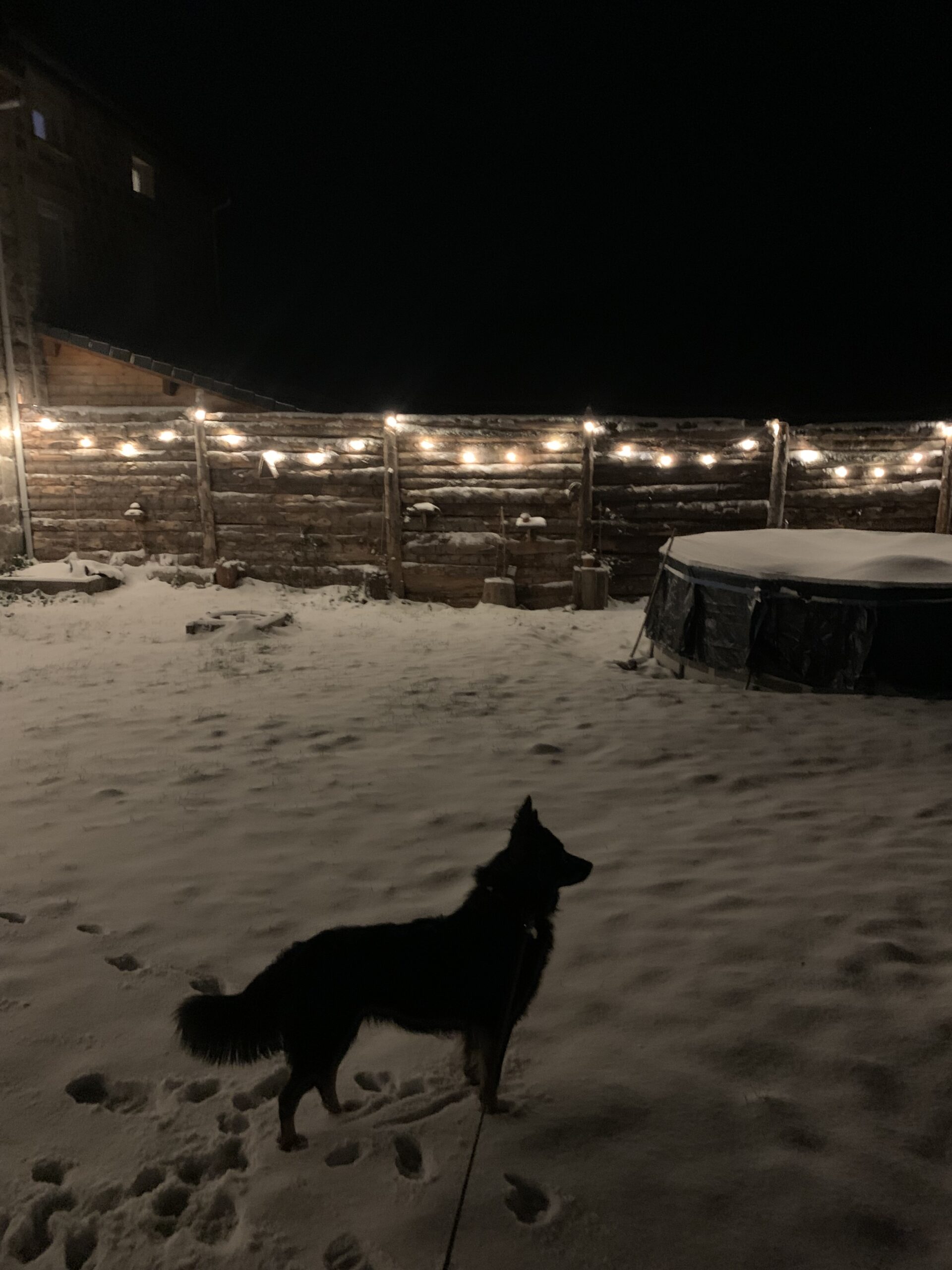 Manny's Blog - Sharing our French adventure as we live and work and ...